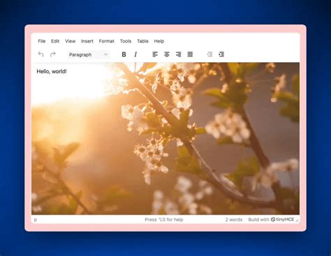 How To Resize An Image Using Css Best 3 Methods Tinymce