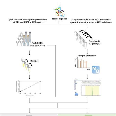 Pdf Comparing Data Independent Acquisition And Parallel Reaction Monitoring In Their Abilities
