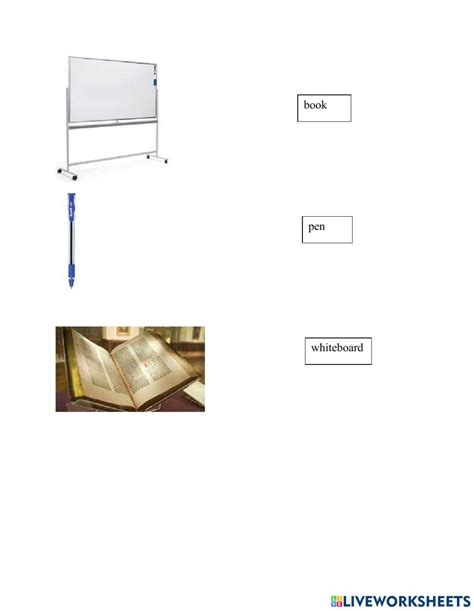 Objects In Class Worksheet Live Worksheets