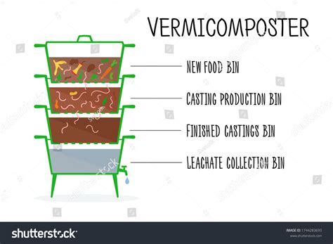 1561 Vermicompost 图片、库存照片和矢量图 Shutterstock