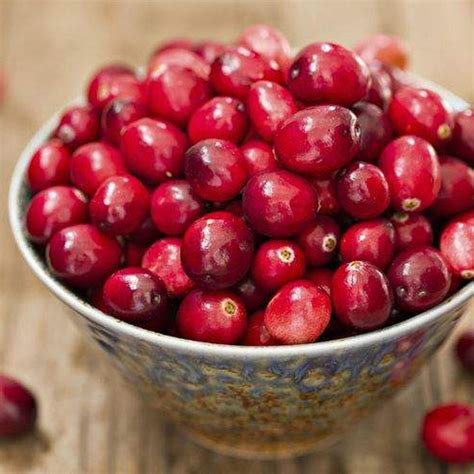 Fresh Cranberries