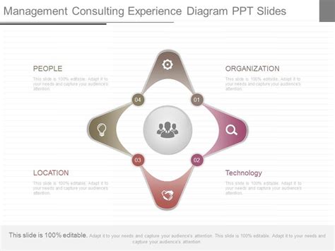 Management Consulting Experience Diagram Ppt Slides