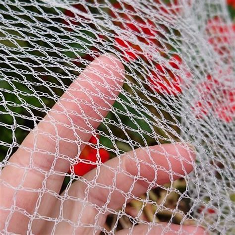 Wildlife Friendly Bird Netting The Seed Collection