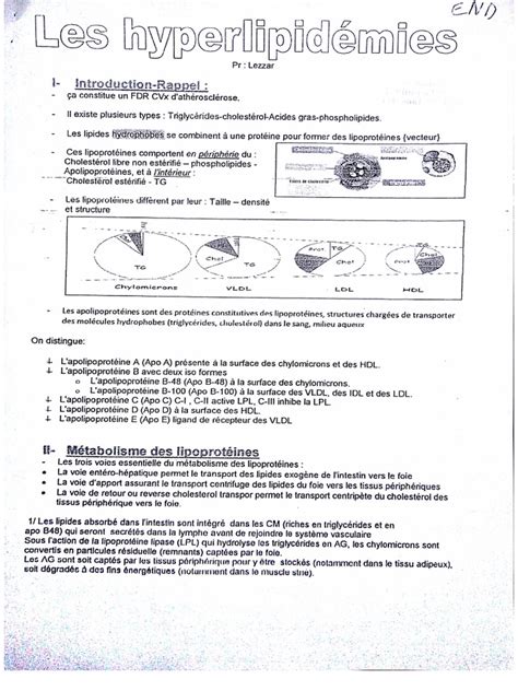 Les Hyperlipidémie Pdf