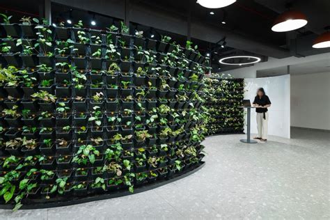 Iota Analytics Office Sahibzada Ajit Sioffice Buildings