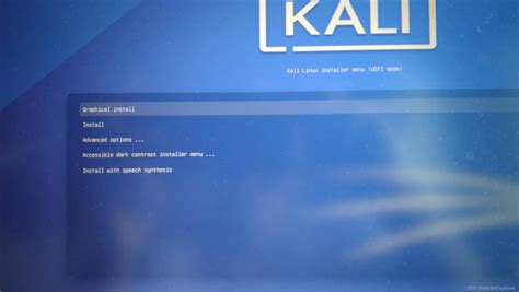 实机安装kalilinux和windows双系统（有图详细介绍） kali双系统安装 csdn博客