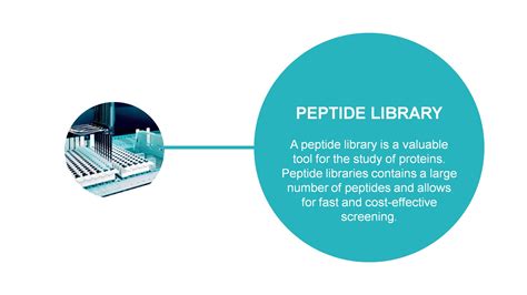 Peptide Library Synthesis Service Sb Peptide Custom Peptide