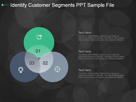 Identify Customer Segments Ppt Sample File Graphics Presentation Background For PowerPoint