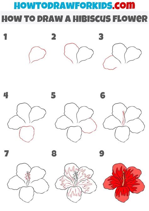 How To Draw Hawaiian Flowers Easy