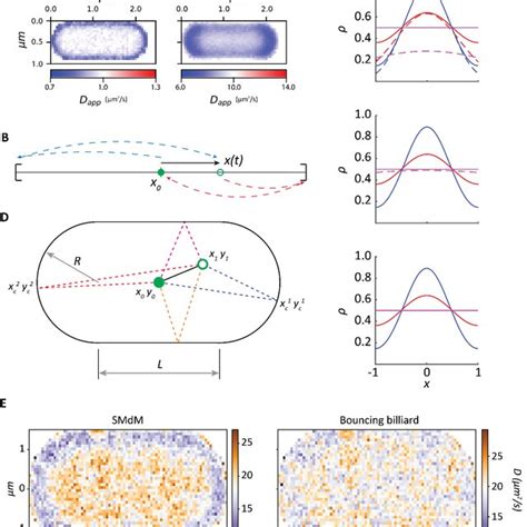 Simulaon Based Reconstructed Diffusion A Algorithm Representa1on Of