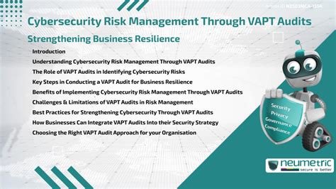 Cybersecurity Risk Management Through Vapt Audits Strengthening Business Resilience