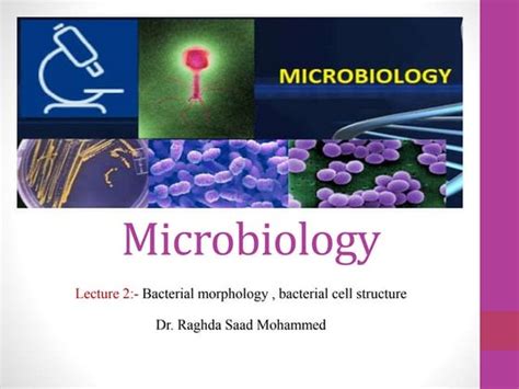 Structure Of Bacterial Cell Pptx