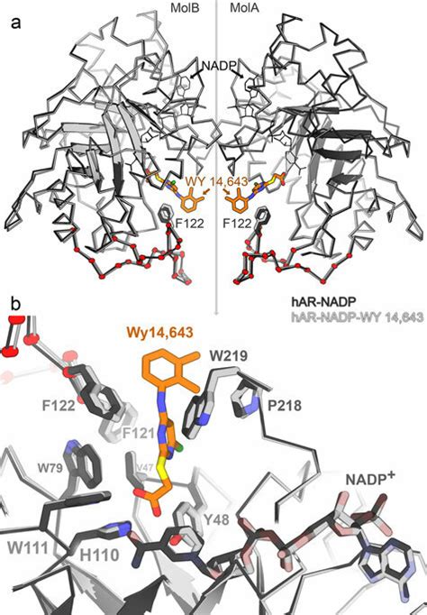 Superposition Of Har Binary Har•nadp Pdb Id 3q65 And Ternary