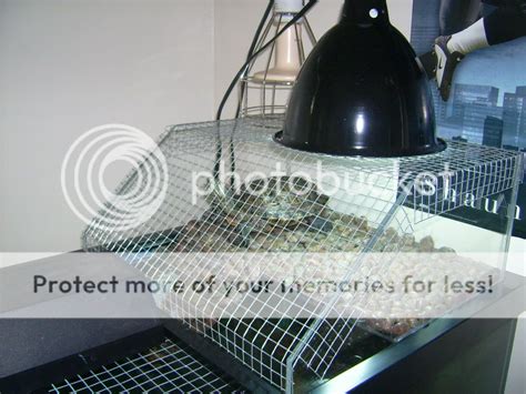 DIY Turtle Tank Help Please MonsterFishKeepers Com