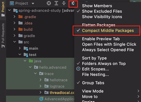 IDE Intellij 패키지 접힘 풀기