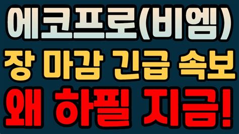 에코프로에코프로비엠 왜 하필 지금 📢장 마감 긴급 속보입니다 주주님들 얼른 확인시기 바랍니다 Youtube