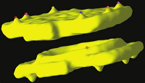 Interactive 3d Isosurface Representation Of The Prosthesis Numbered Download Scientific
