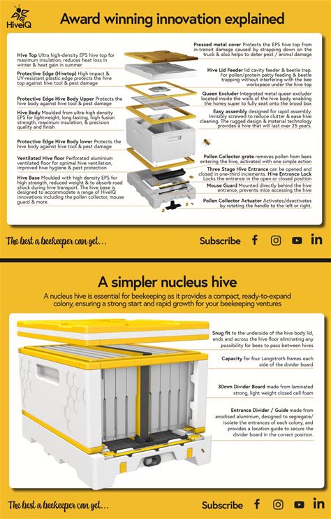 Bitterroot Buzz Bees