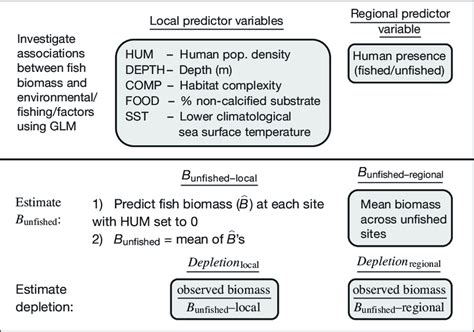 Conceptual Diagram Of Data Analysis Download Scientific Diagram