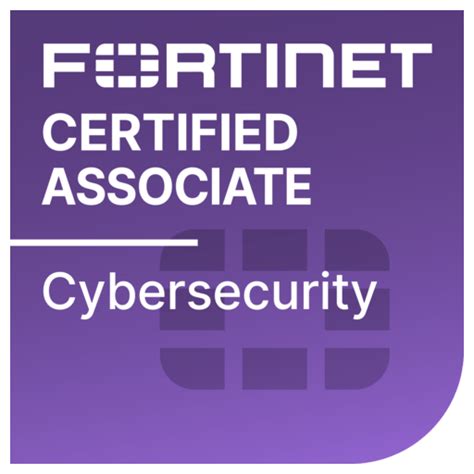 Meet The Whitespider Team Whitespider