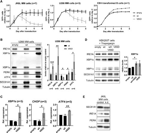 Effect Of Upr Induction On Pcs And Sensitized Hek293t Cells After