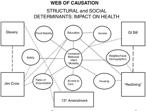 Figure 1 From Social And Structural Determinants Of Health Inequities