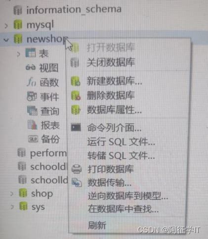 mySQL商城项目实战 终全部表 张 mysql实战表格 CSDN博客