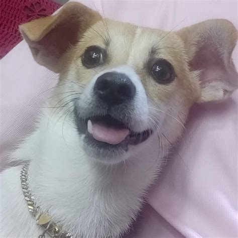 တုန်တုန်အမှတ်တရများ