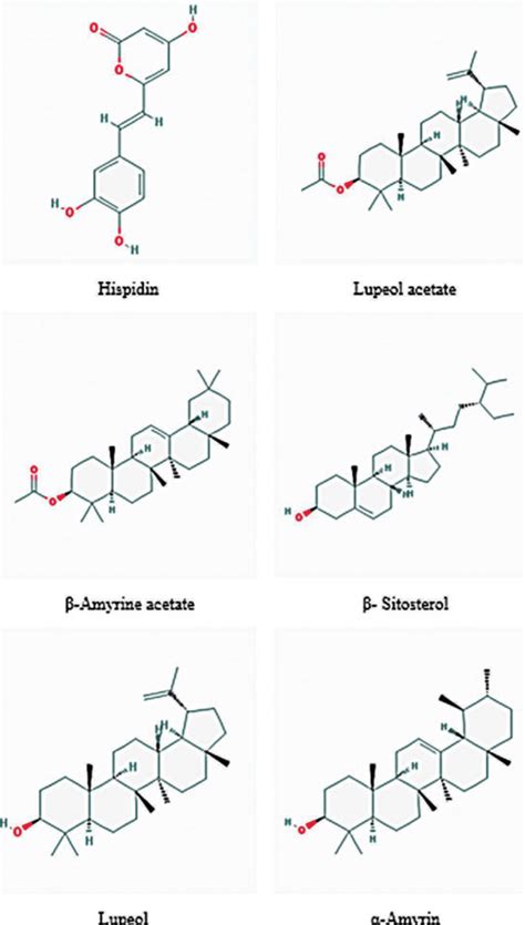 Ficus Hispida L Extraction Methods Phytochemistry And Biological
