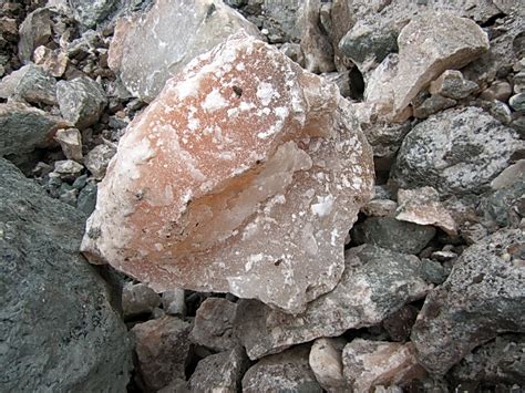 Two Types Of Gypsum Geology The Fossil Forum