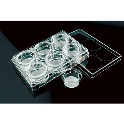 Cell Culture Plate Inserts At Jordan Moncrieff Blog