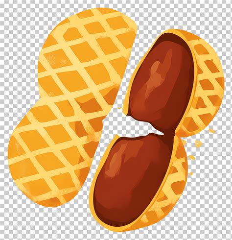 Peanut Peanut Illustration With Open Shell Png Clipart Crunchy Peanut Peanut Illustration With Open Shell Png Clipart Crunchy