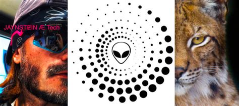 A Superconducting Vortex