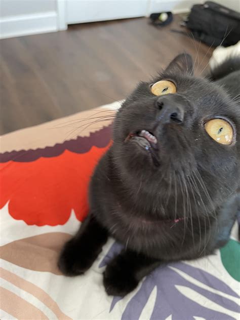 Spinny Thing Rstoppedworking