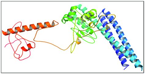 Predicted 3d Structure Of T Pallidum Vaccine Constructs Visualized By