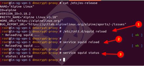 Reload Squid Proxy Server Without Restarting Squid Daemon Nixcraft