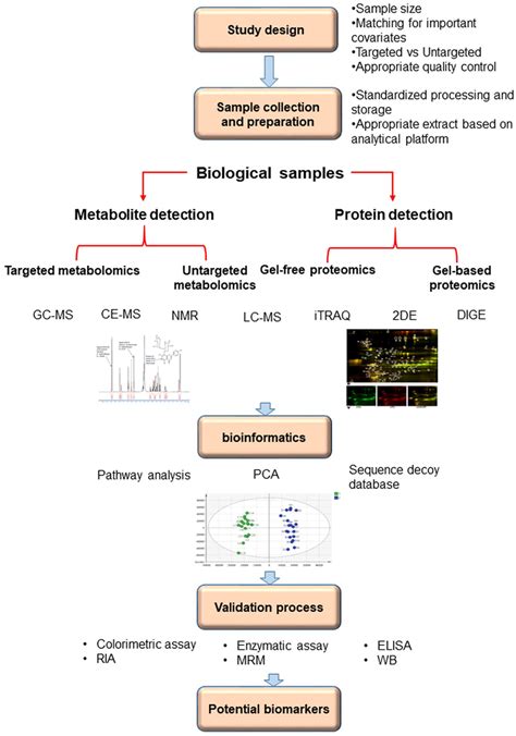 Workflow For Biomarkers Discovery Process For Multiple Sclerosis Download Scientific Diagram