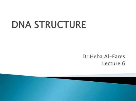 PPT DNA STRUCTURE PowerPoint Presentation Free Download ID 1397276