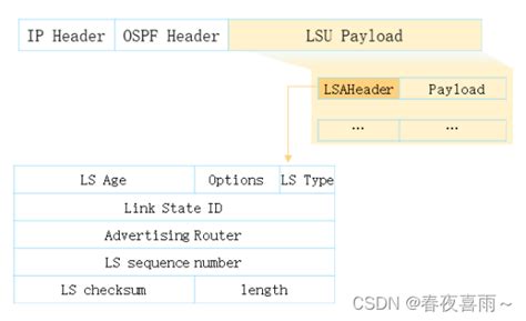 ospf→ ospf mtu csdn博客
