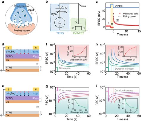 Tribo‐ferro‐optoelectronic Neuromorphic Transistor Of α‐in2se3 Feng