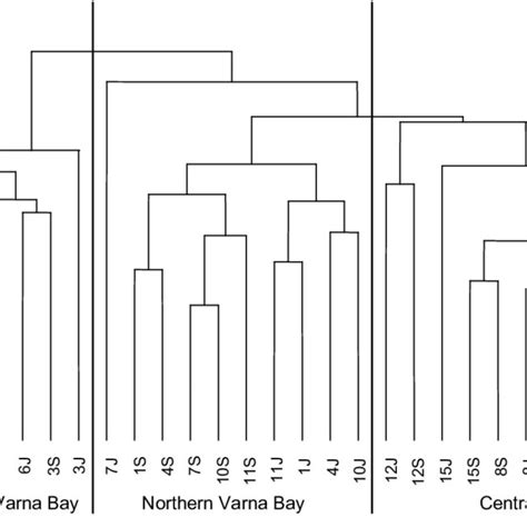 Dendrogram For Hierarchical Clustering Group Average Linking Of