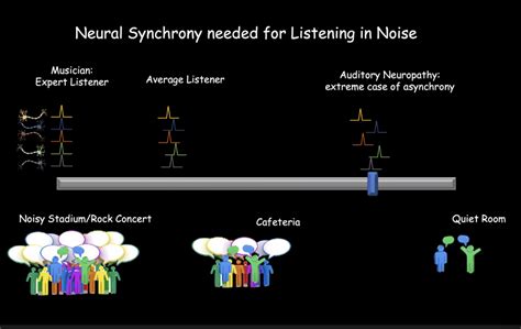 Of Sound Mind A Discussion Of The Hearing Brain Research Blog