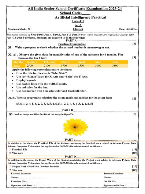 skd class 10 artificial intelligence practical set a final download