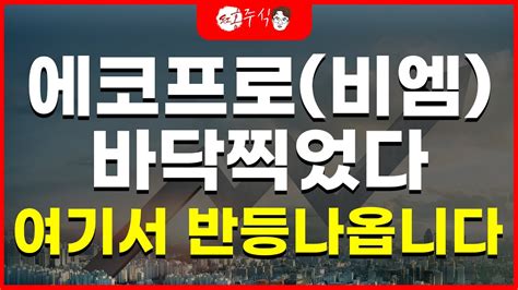 에코프로비엠 바닥찍었다 여기서 반등나옵니다 Youtube