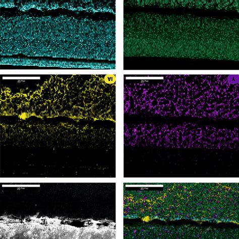 Sem Cross Section Image And The Corresponding Eds Elemental Mapping Of