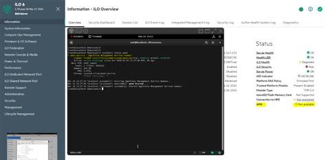 Document Display Hpe Support Center