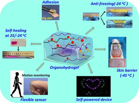 Self Healable Adhesive Anti Drying Freezing Tolerant And
