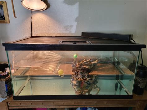 Lighting Help R Turtles