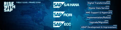 snkf consultancy services on linkedin sap sapcommunity