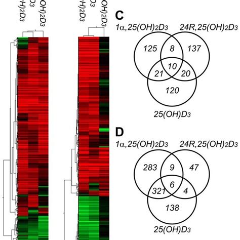 Gene Expression Profiles Hierarchical Clustering Of The Differentially Download Scientific